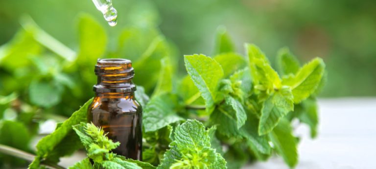 El Uso del Mentol y Alzheimer | Parkinson y salud