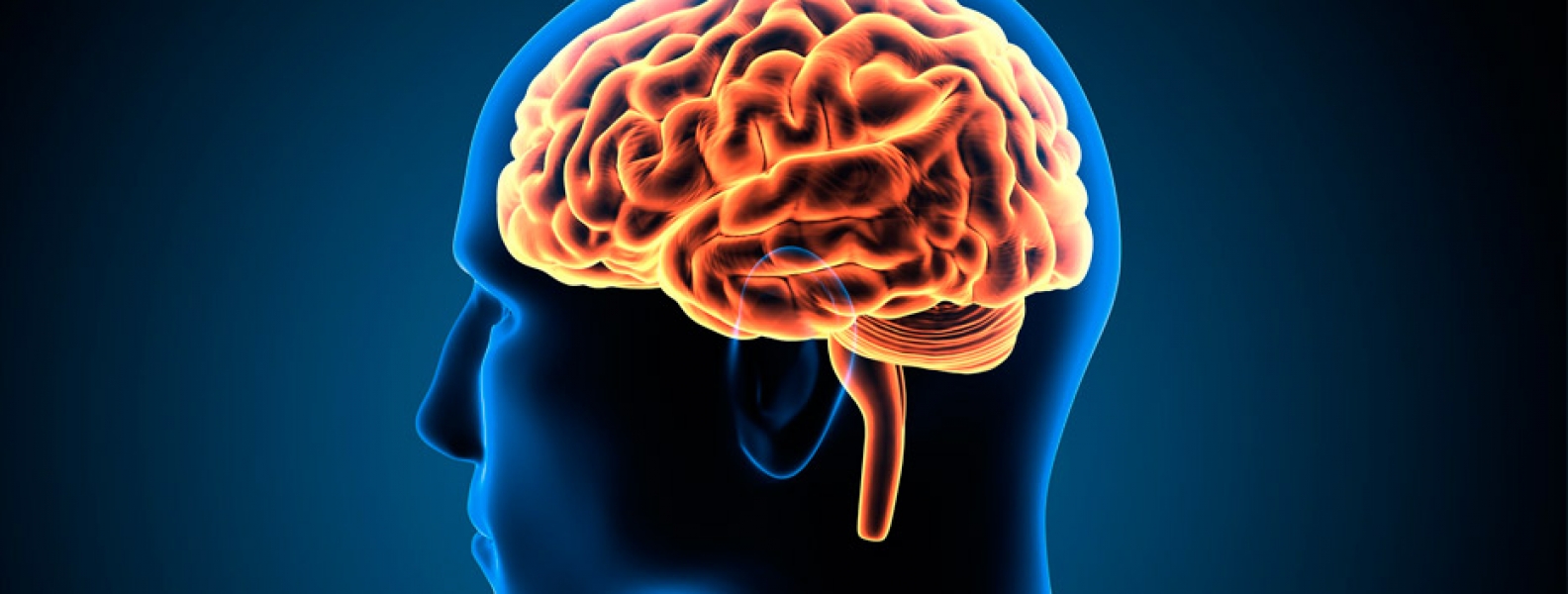 Tipos de esclerosis múltiple | Infórmese de las fases de esta enfermedad